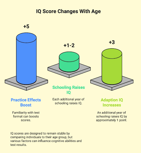 Does IQ Change With Age? | Riot IQ