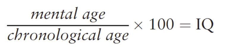 What is an IQ Test? A Beginner's Guide. | Riot IQ